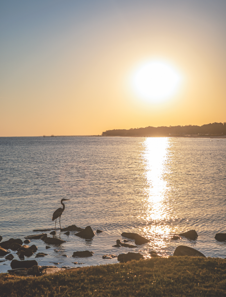Dive Into Mississippi’s Gulf Coast - Page 3 of 5 - Taste of the South